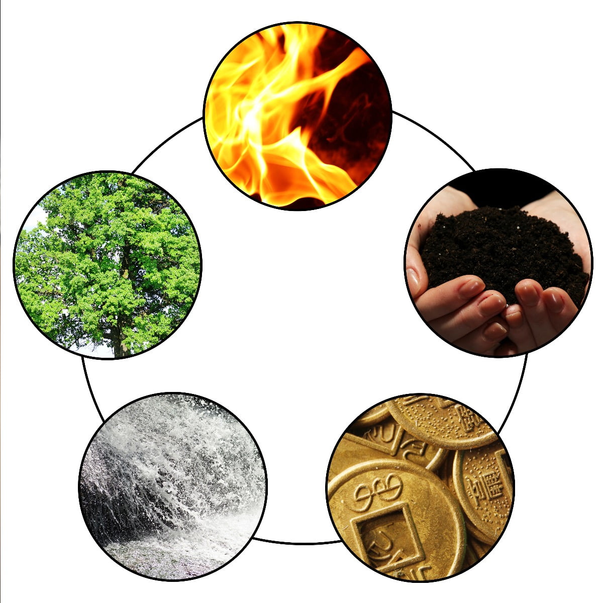 Services | Health Clinic | Purebei